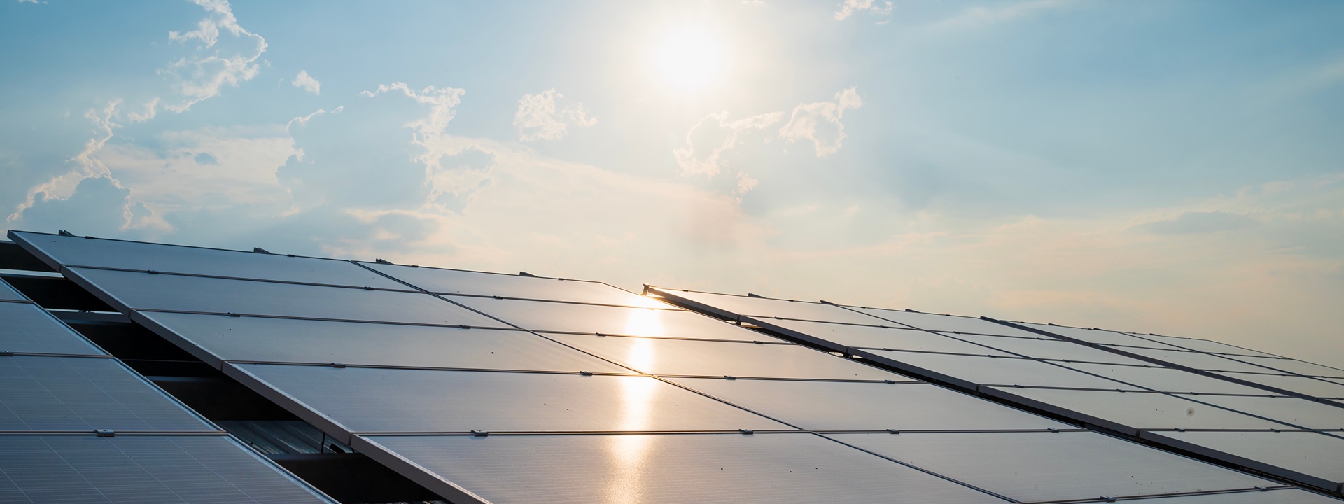 Ecosystem System Services Assessment of Utility-Scale PV Plant ...